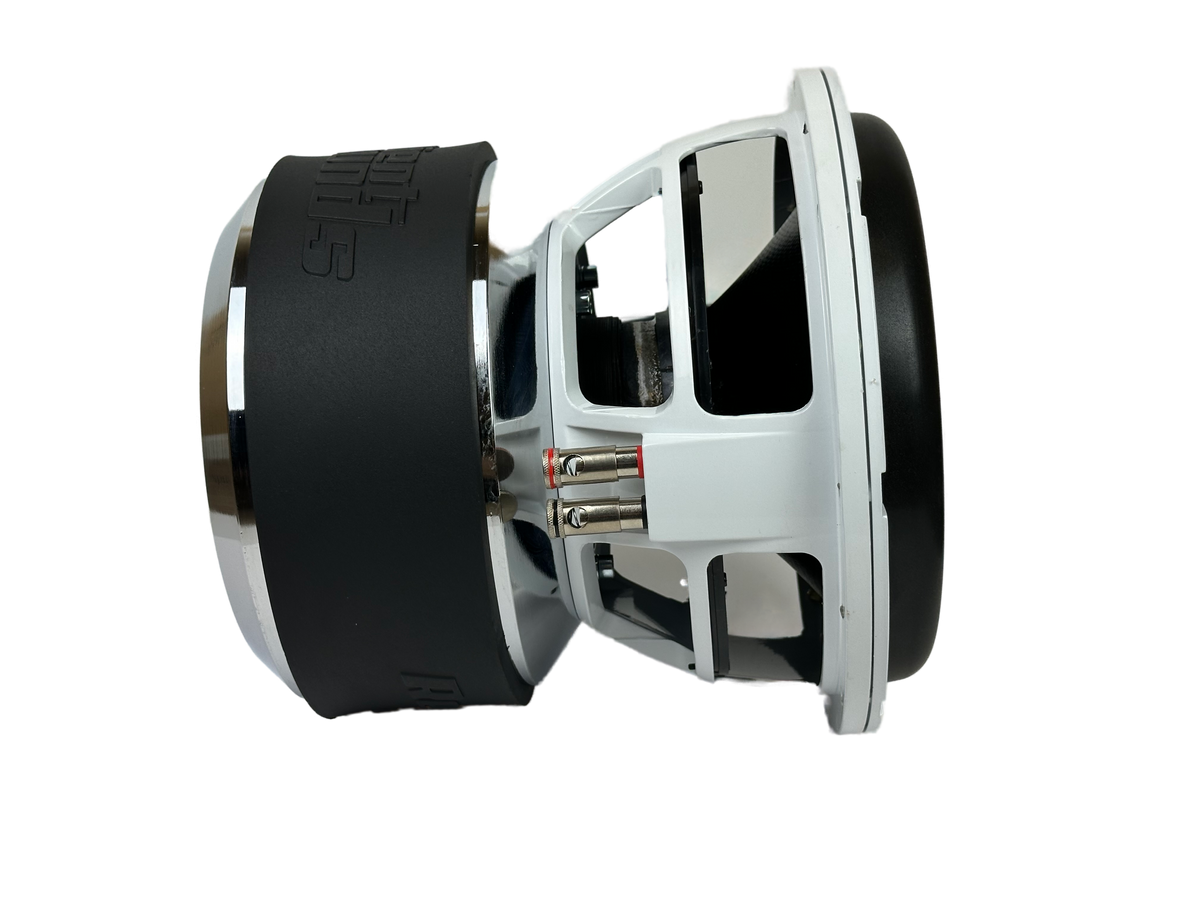 Resilient Sounds Platinum 10 V2 5000W/2500RMS – Resilient Sounds Shop