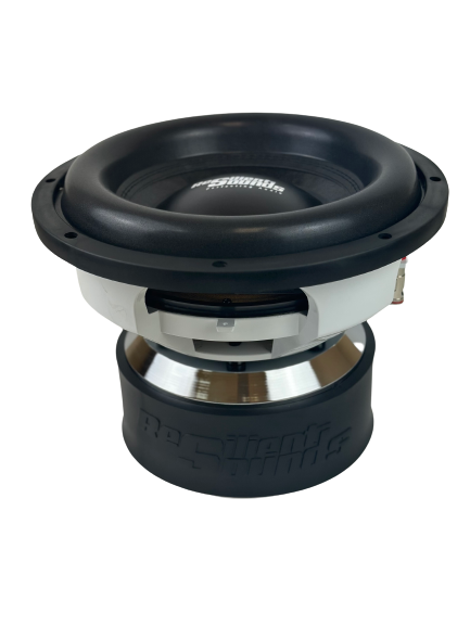 RS PLATINUM 12 2000RMS – Resilient Sounds Shop